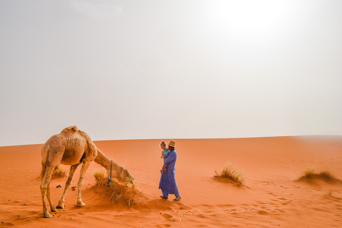 The Sahara Desert With Kids - Our Ultimate Family Guide - From The Vine ...